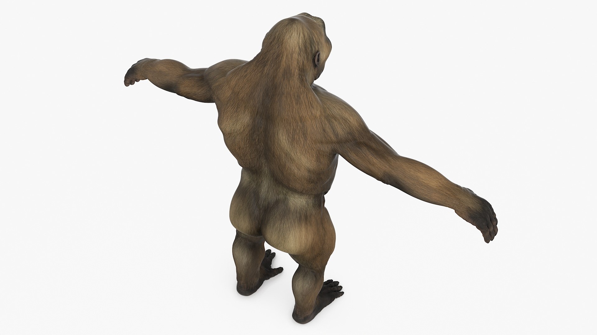 3D Big Ape Gigantopithecus A-Pose Model - TurboSquid 2312004