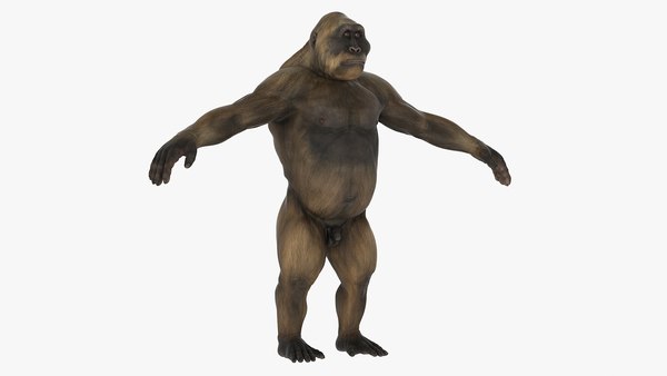 modelo 3d El gran simio Gigantopithecus en posición A - TurboSquid 2312004