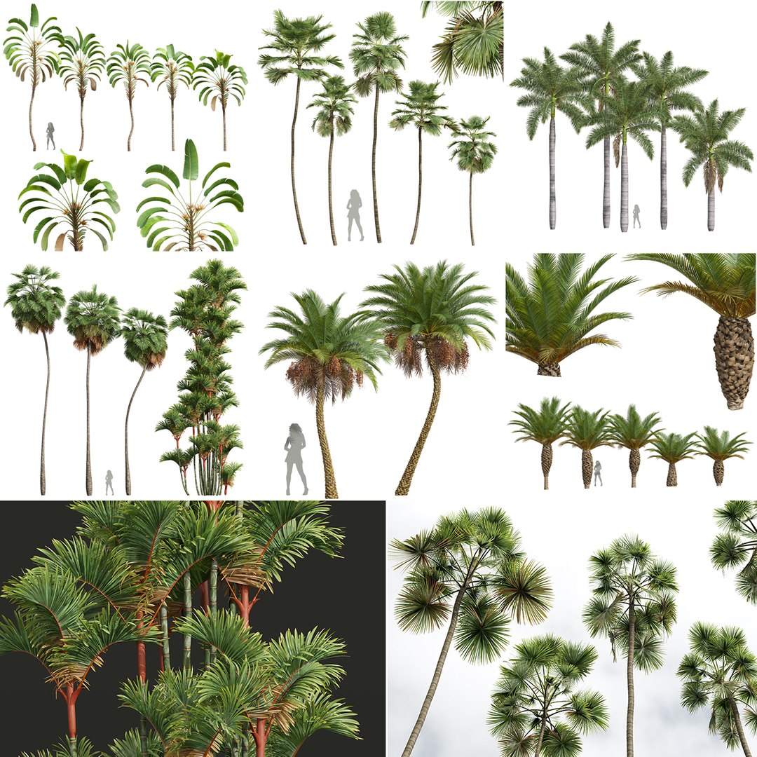 3D 6Different SETS Of Tree Set Vol 34 Model - TurboSquid 2205121