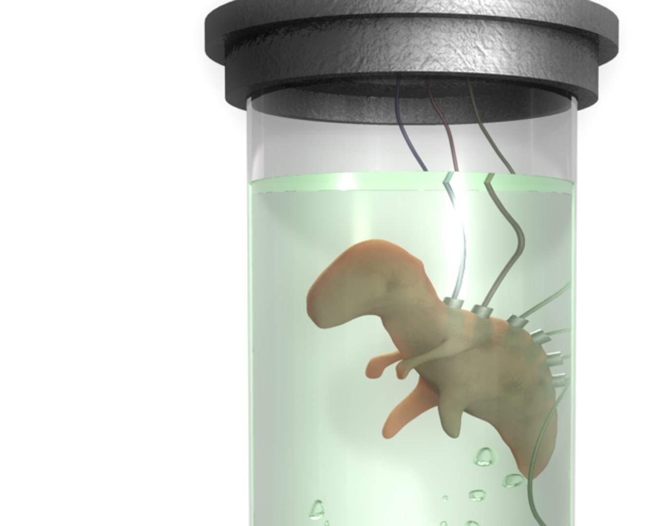 Dinosaur Embryo C4d Free
