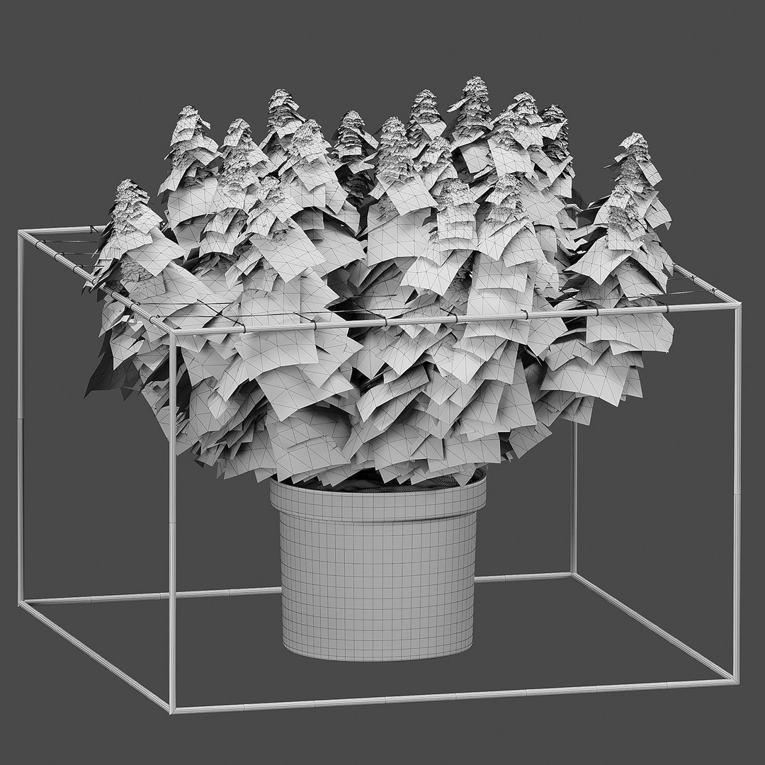 Flower Pack 252 CANNABIS 3D Model - TurboSquid 1903886