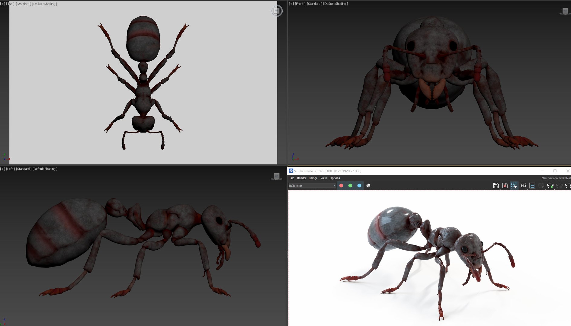3D Black Ant Model - TurboSquid 1968920