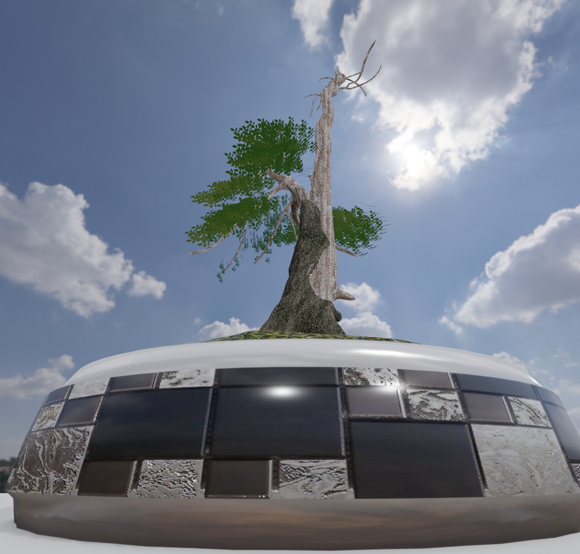 3D Ceng Bonsai Model - TurboSquid 1692959