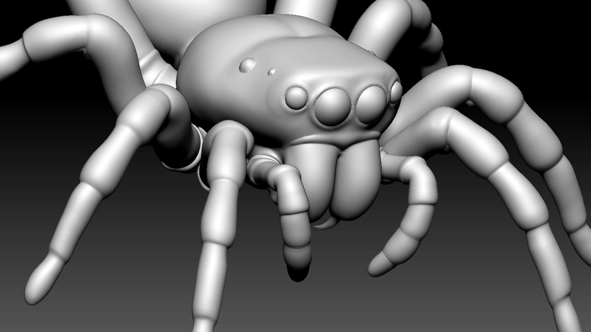 3D Jumping Spider Model - TurboSquid 2151955