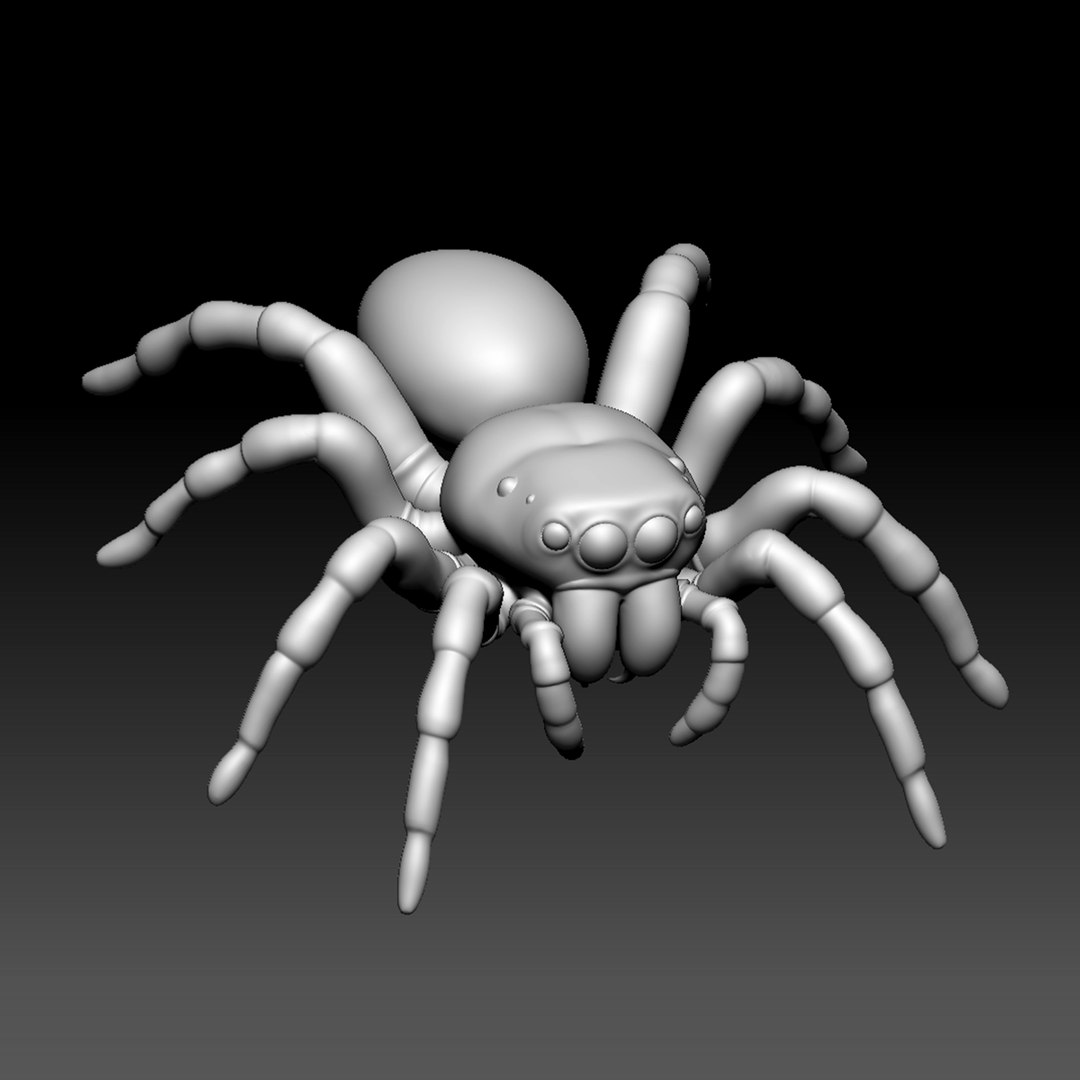 3D Jumping Spider Model - TurboSquid 2151955