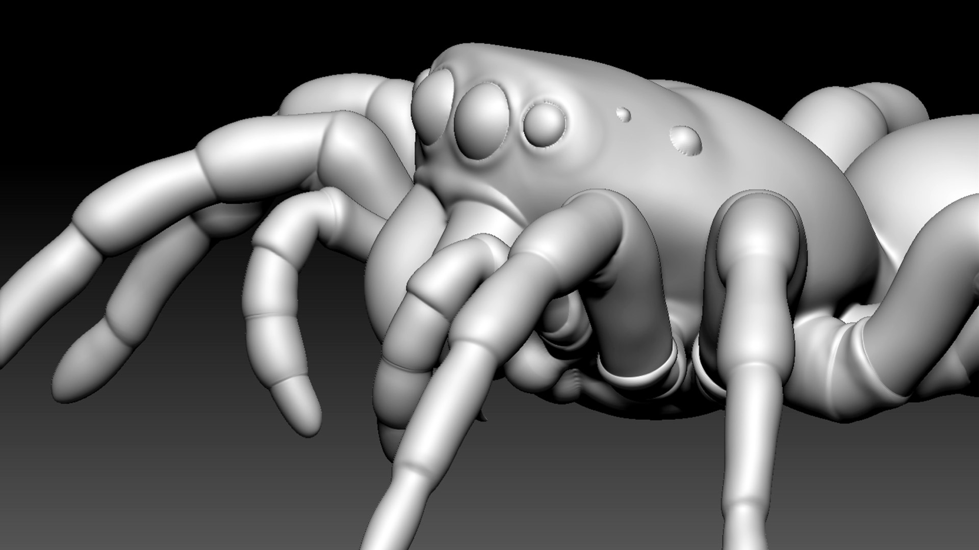 3D Jumping Spider Model - TurboSquid 2151955