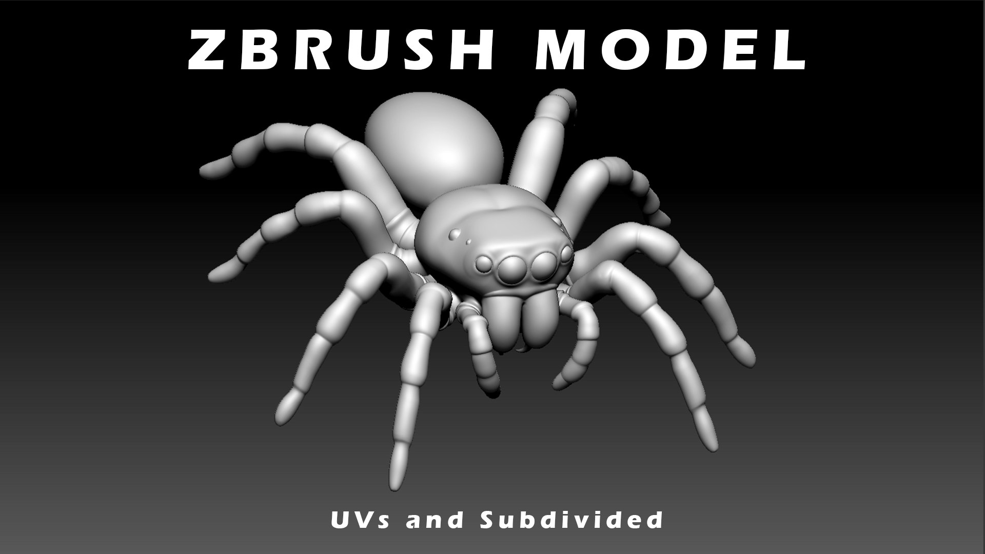 3D Jumping Spider Model - TurboSquid 2151955