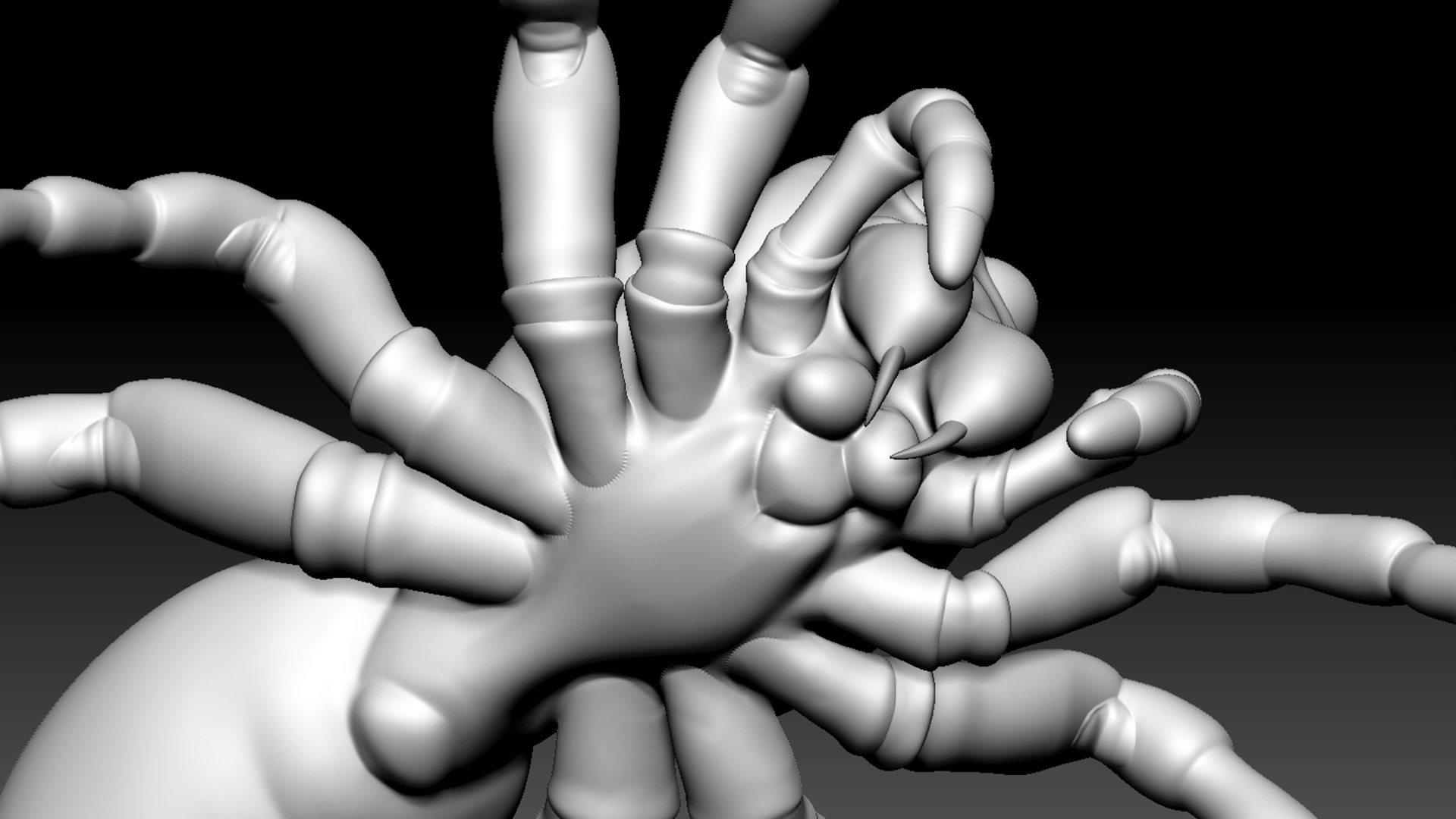 3D Jumping Spider Model - TurboSquid 2151955