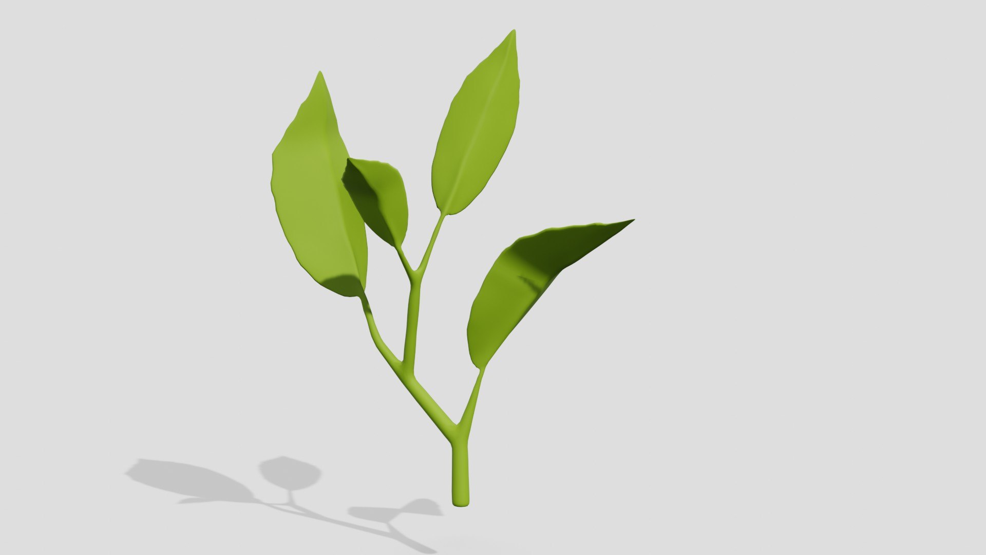 Tea Plant Branch With Green Leaves 3D Model - TurboSquid 2116456