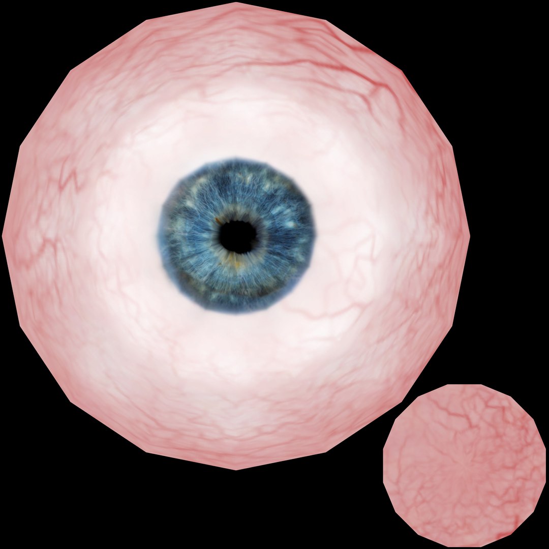 3d Eyeball Eye Model