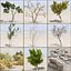 Tree Plants Afghan Rock Stone 3d Max