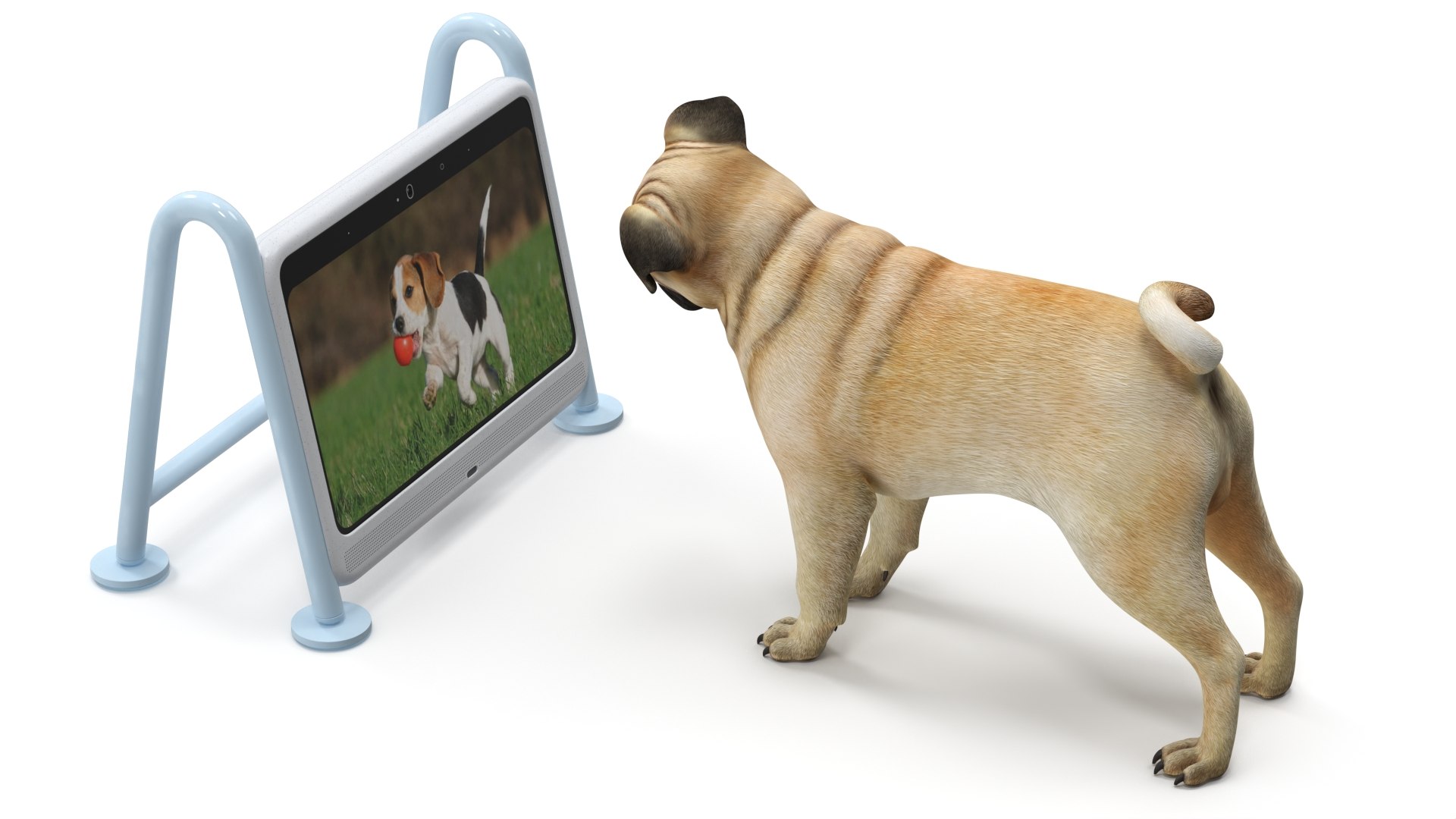3D Model Pug Dog Watching Dogsplay TV Rigged For Maya - TurboSquid 2422422