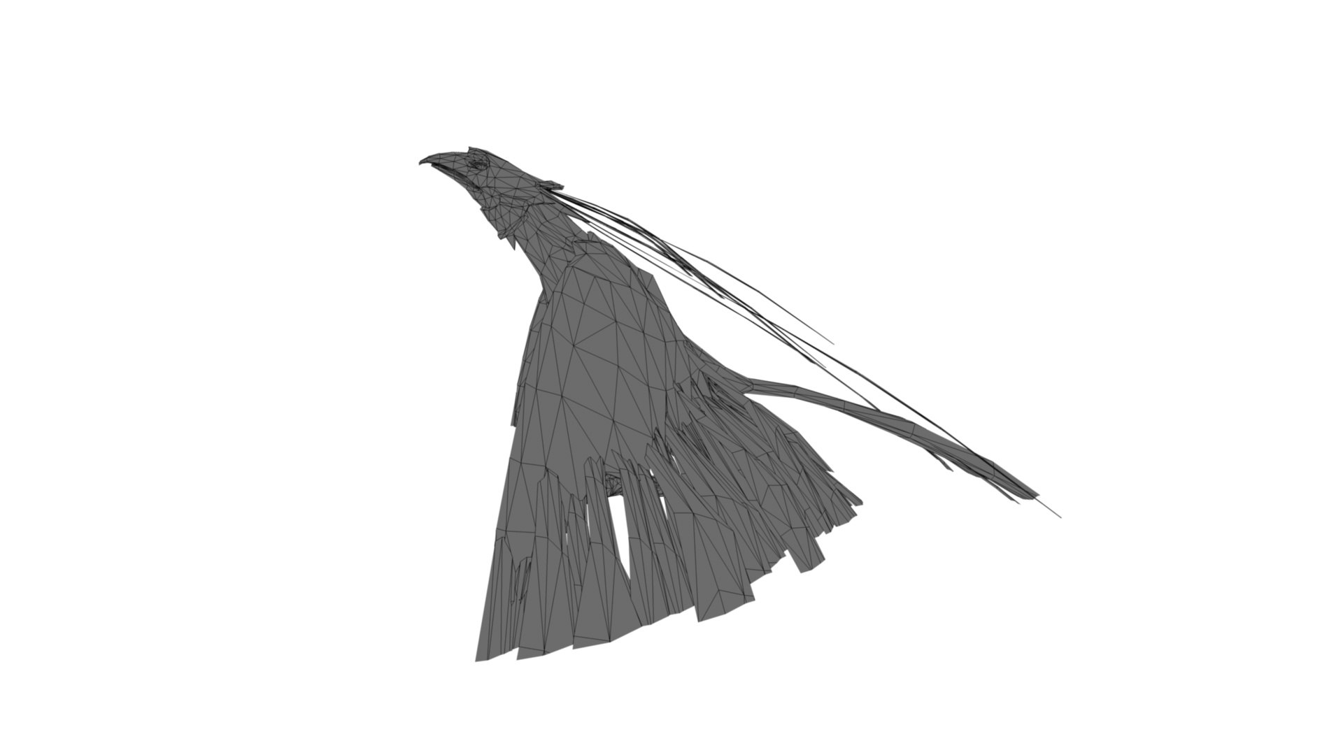 Phoenix Bird Model - TurboSquid 2411616