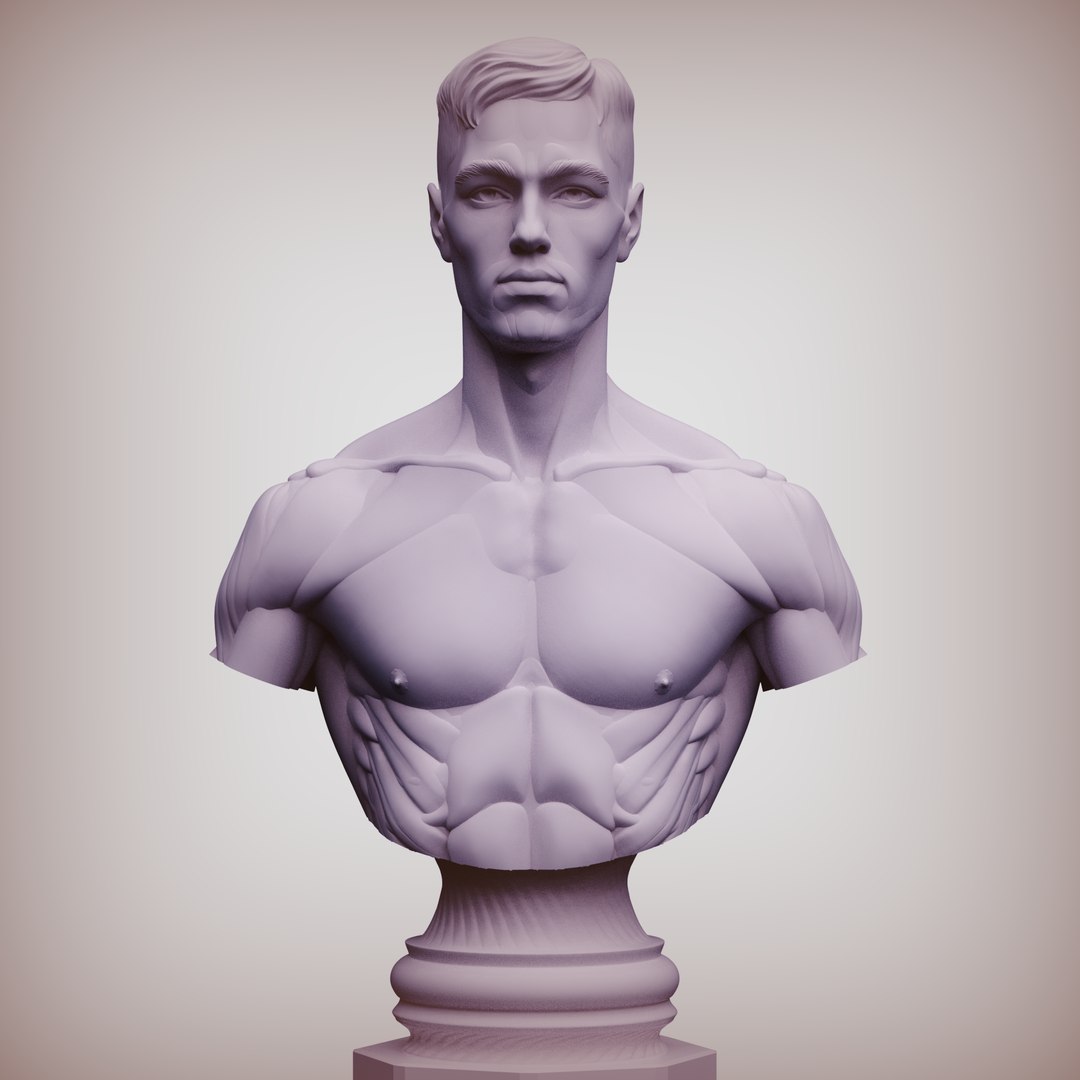 3D Model Man Bust Constructor - TurboSquid 2210761