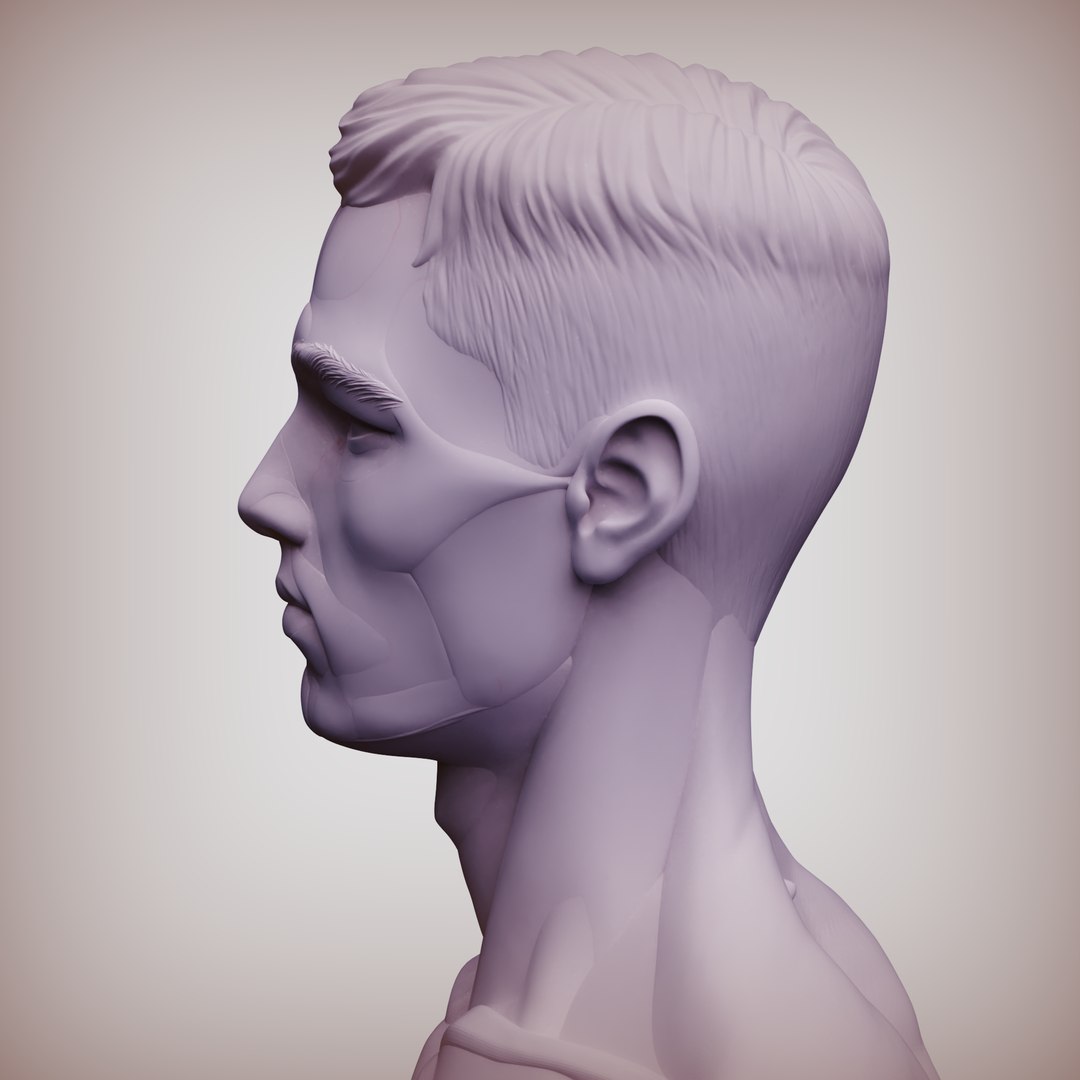 3D Model Man Bust Constructor - TurboSquid 2210761