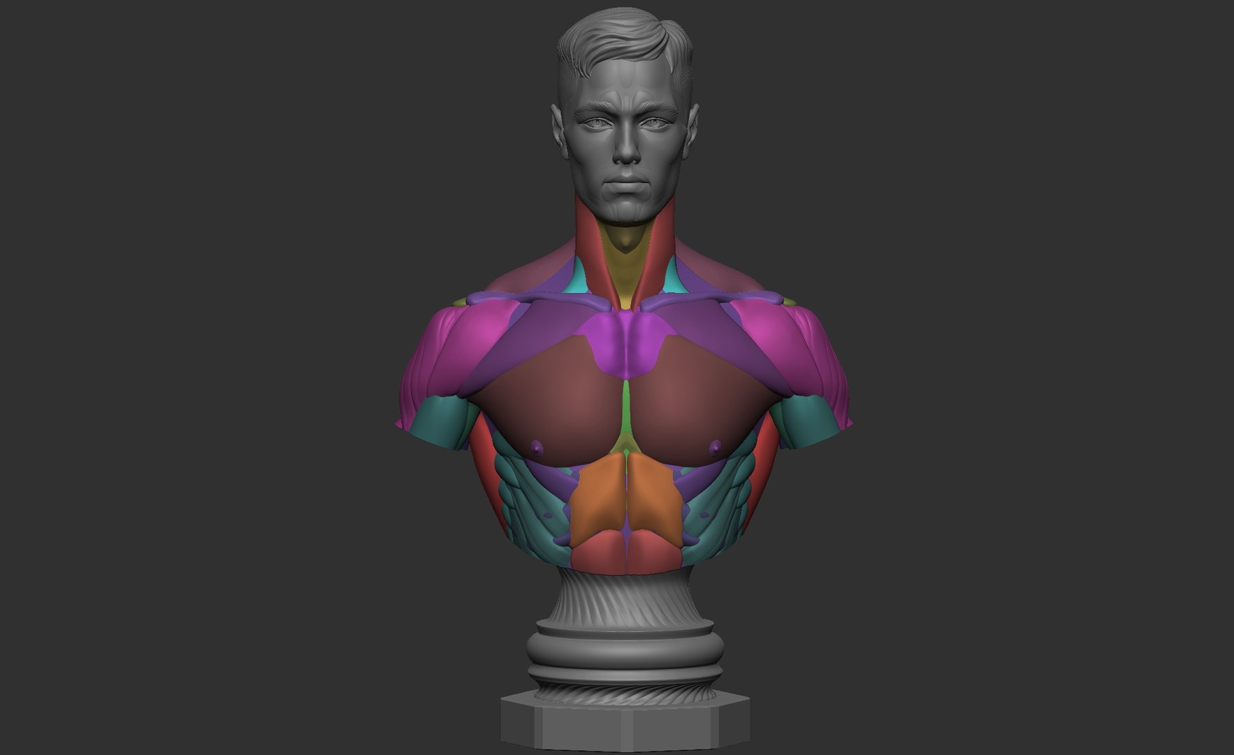 3D Model Man Bust Constructor - TurboSquid 2210761