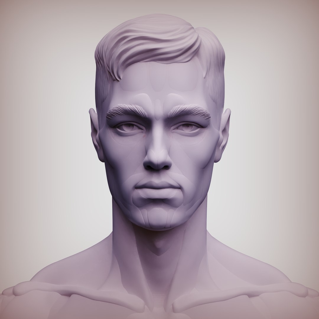 3D Model Man Bust Constructor - TurboSquid 2210761