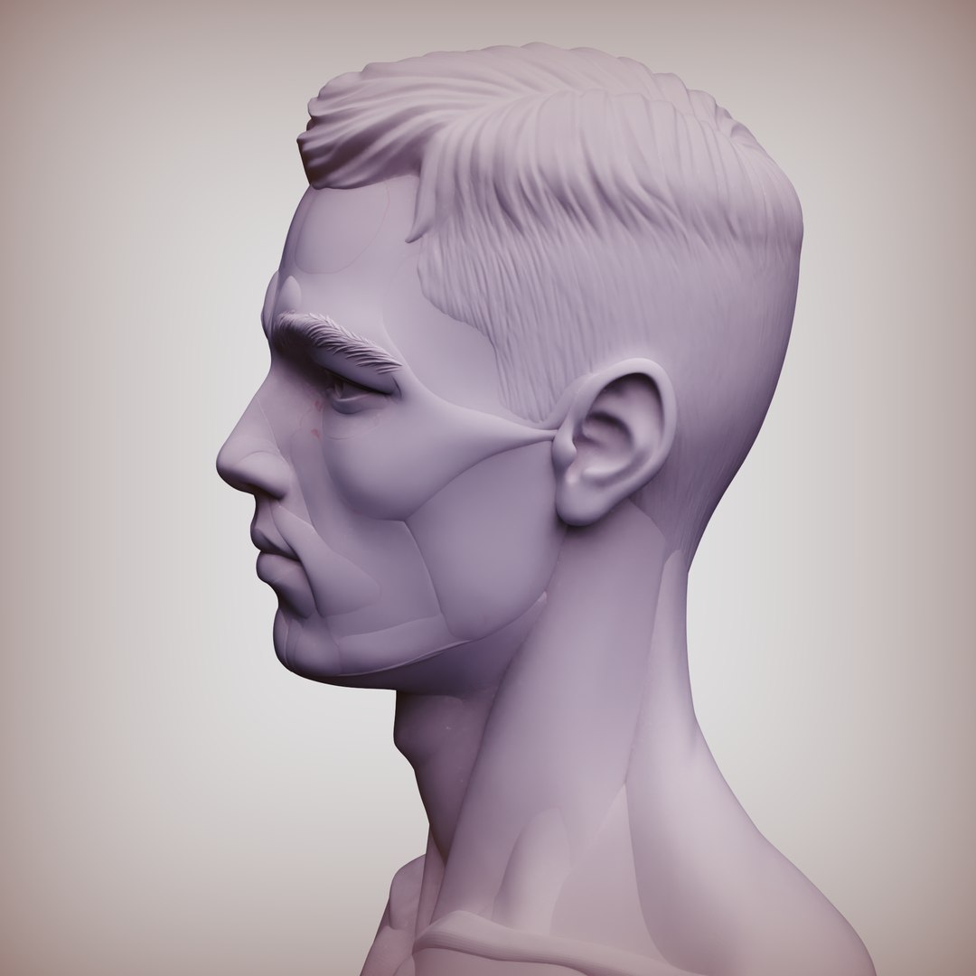 3D Model Man Bust Constructor - TurboSquid 2210761