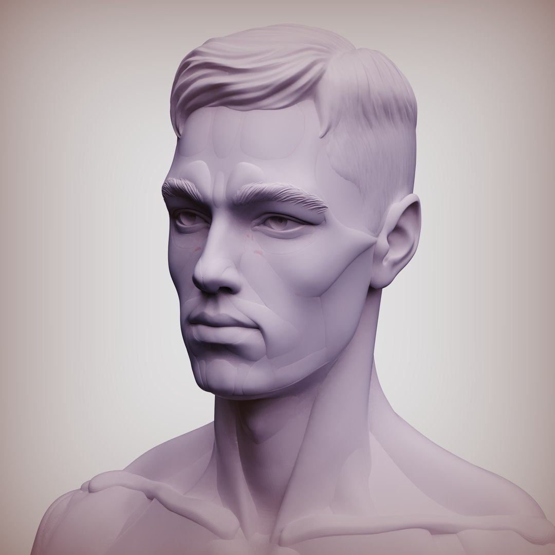 3D Model Man Bust Constructor - TurboSquid 2210761