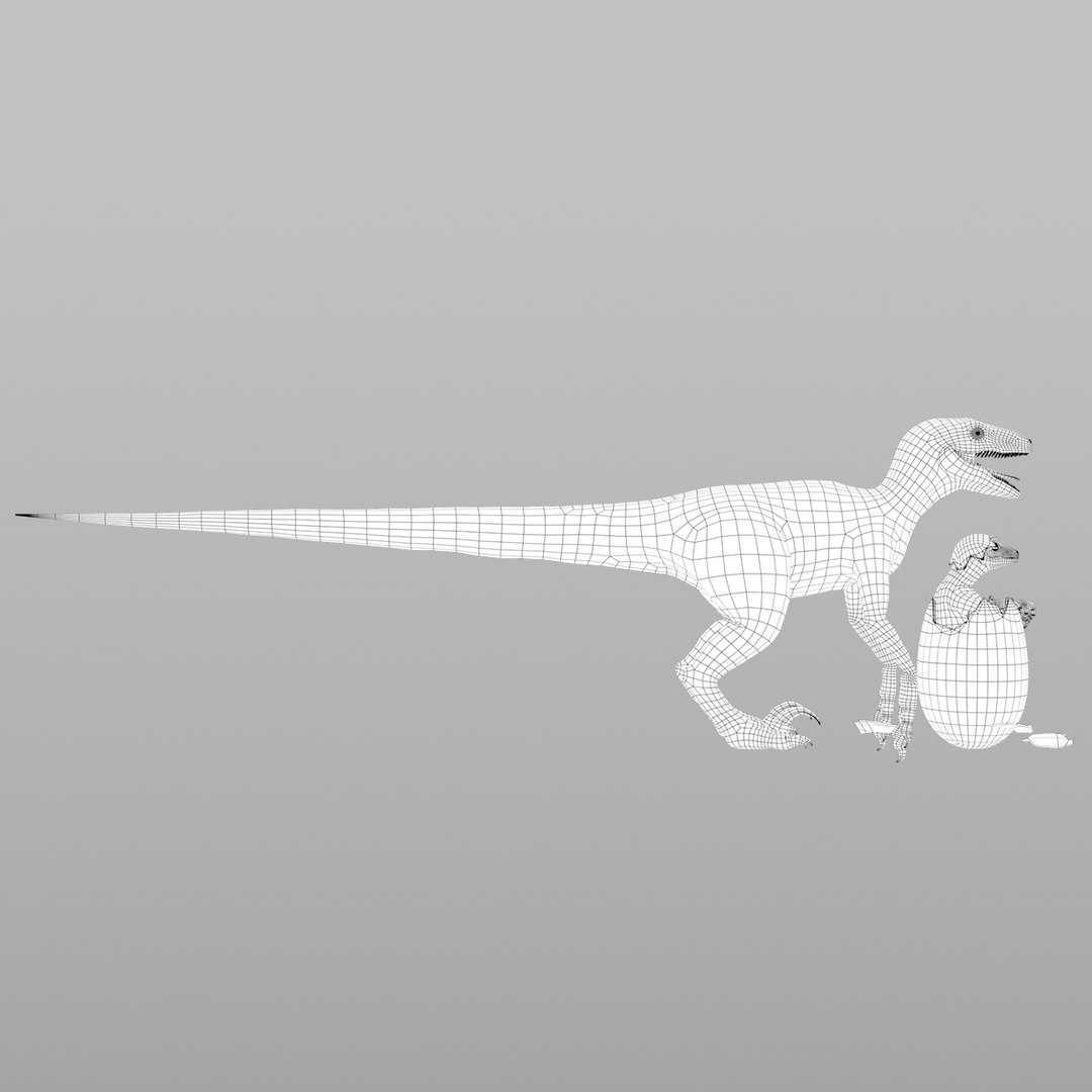 Velociraptor Baby 3D - TurboSquid 1493071