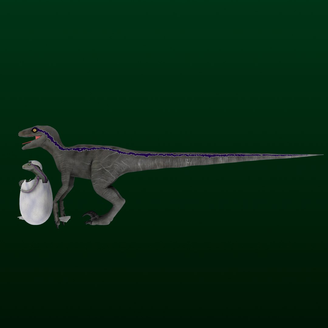 Velociraptor Baby 3D - TurboSquid 1493071