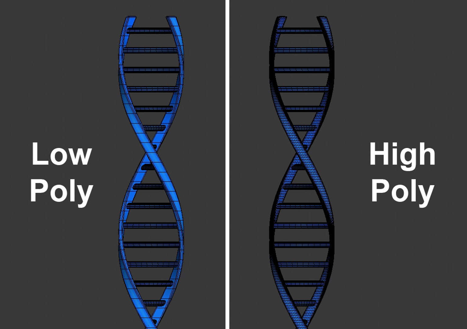 3d Model Dna Helix