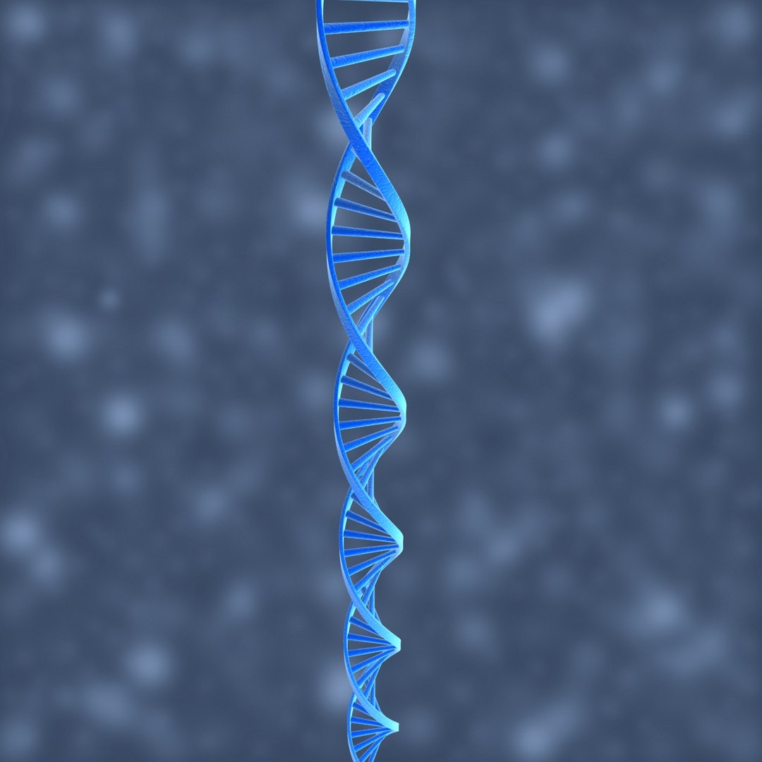3d Model Dna Helix