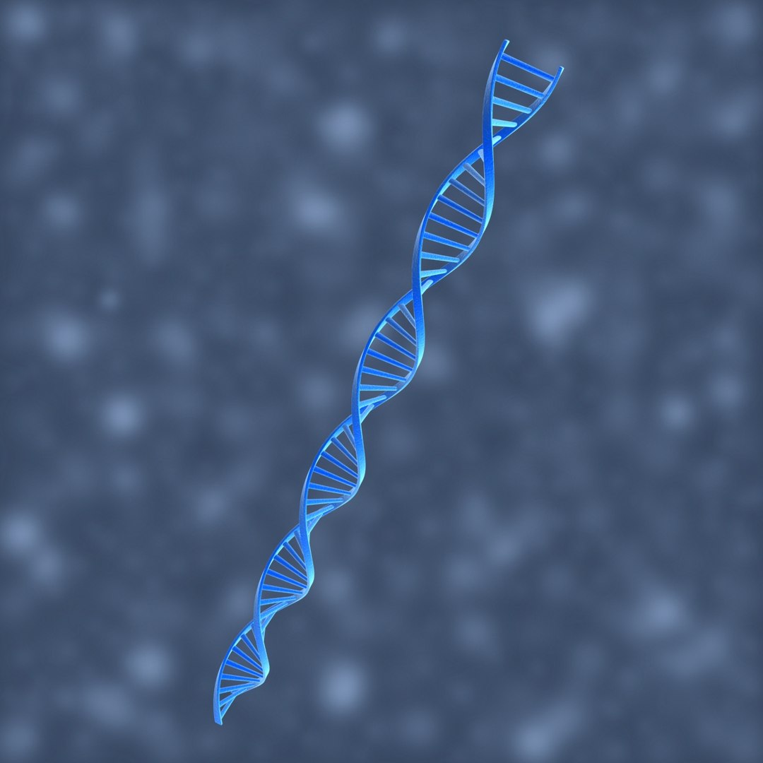 3d Model Dna Helix