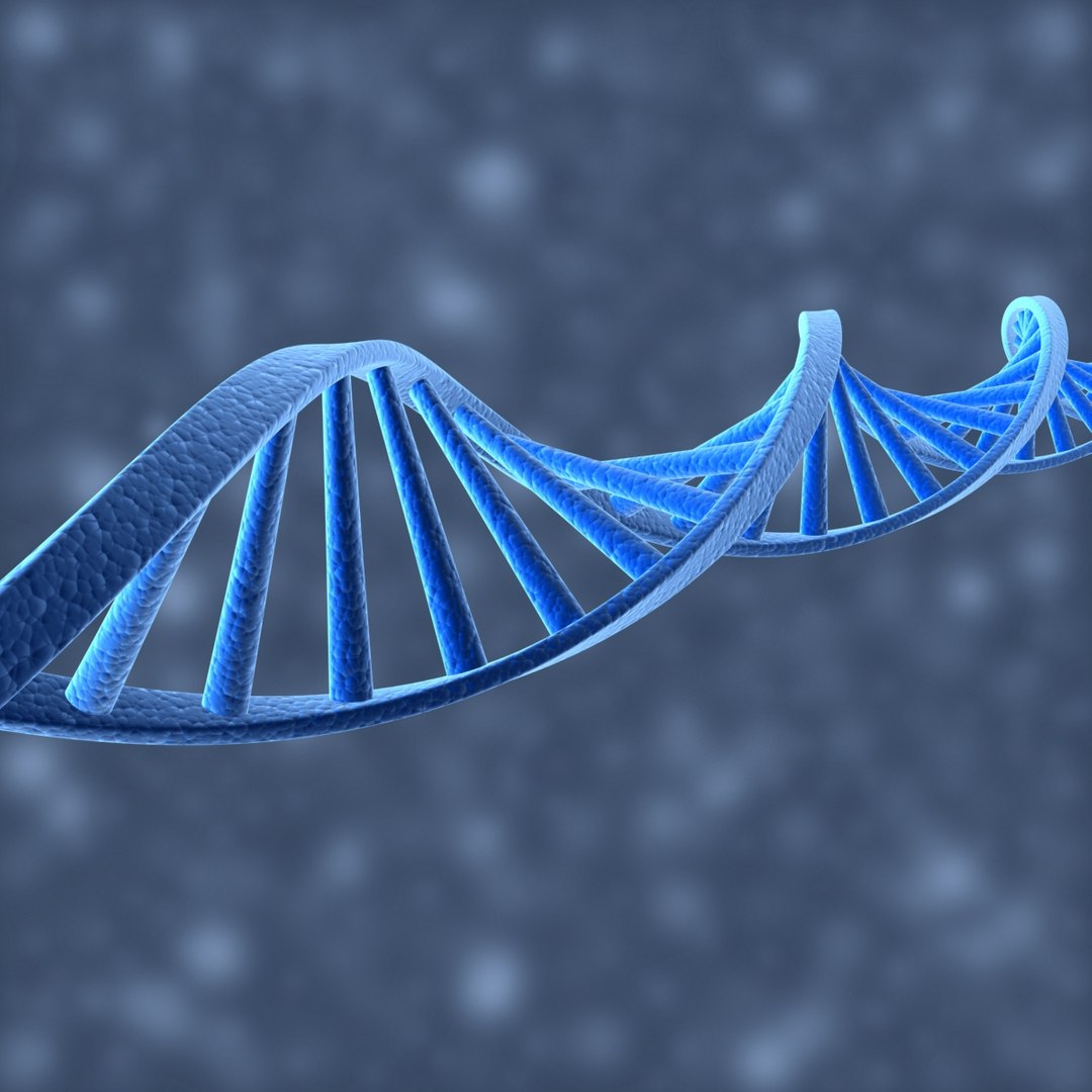 3d Model Dna Helix