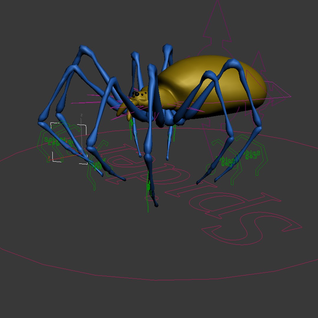 Spider Argiope Bruennichi Max