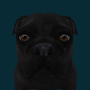 Blender Pug Models | TurboSquid