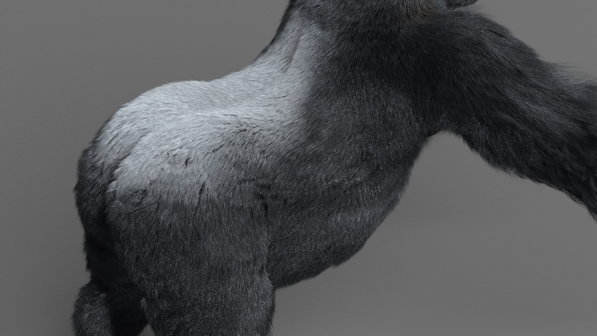 3d Gorilla Rigging Shave