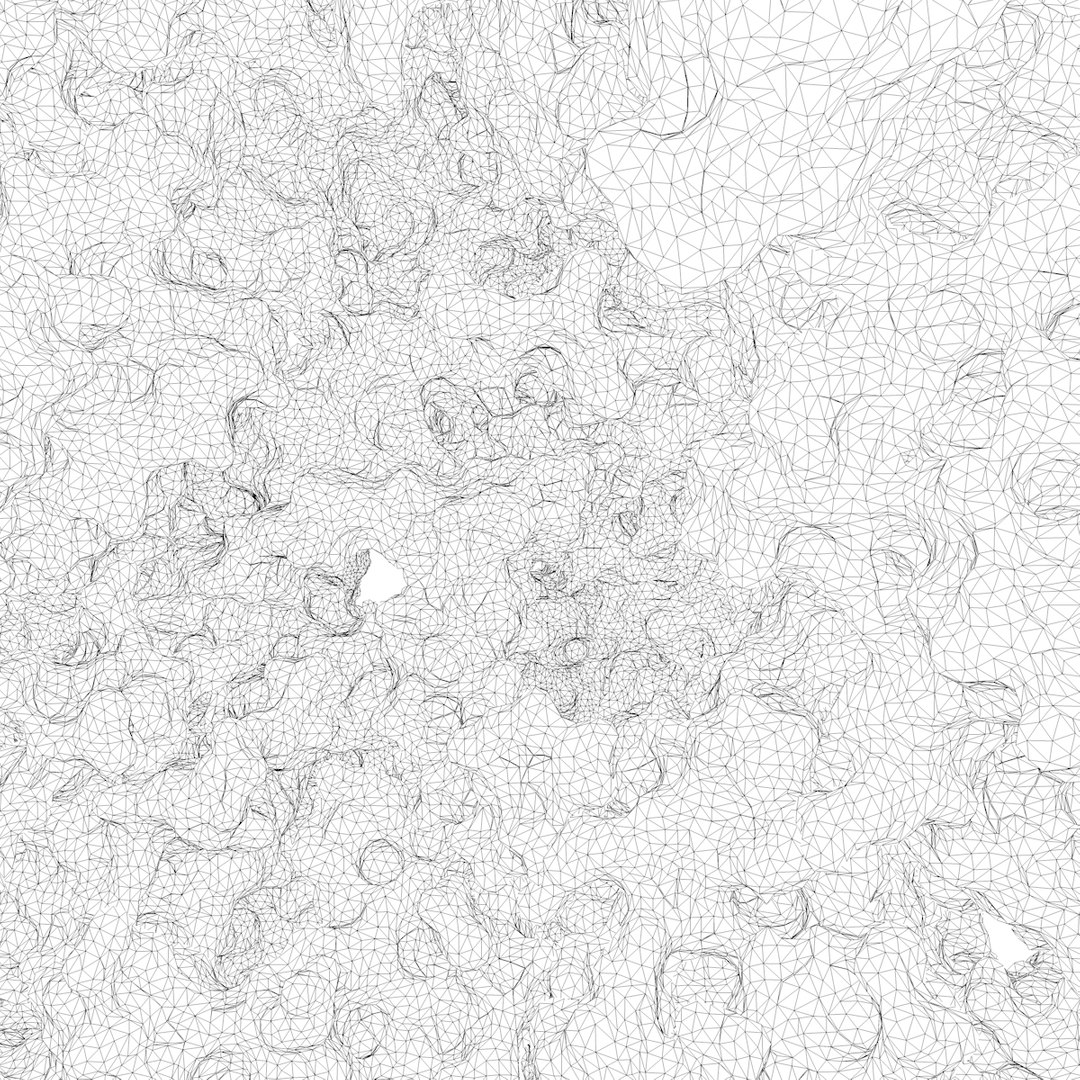 Structure Bacterial Ribosome 3d Model