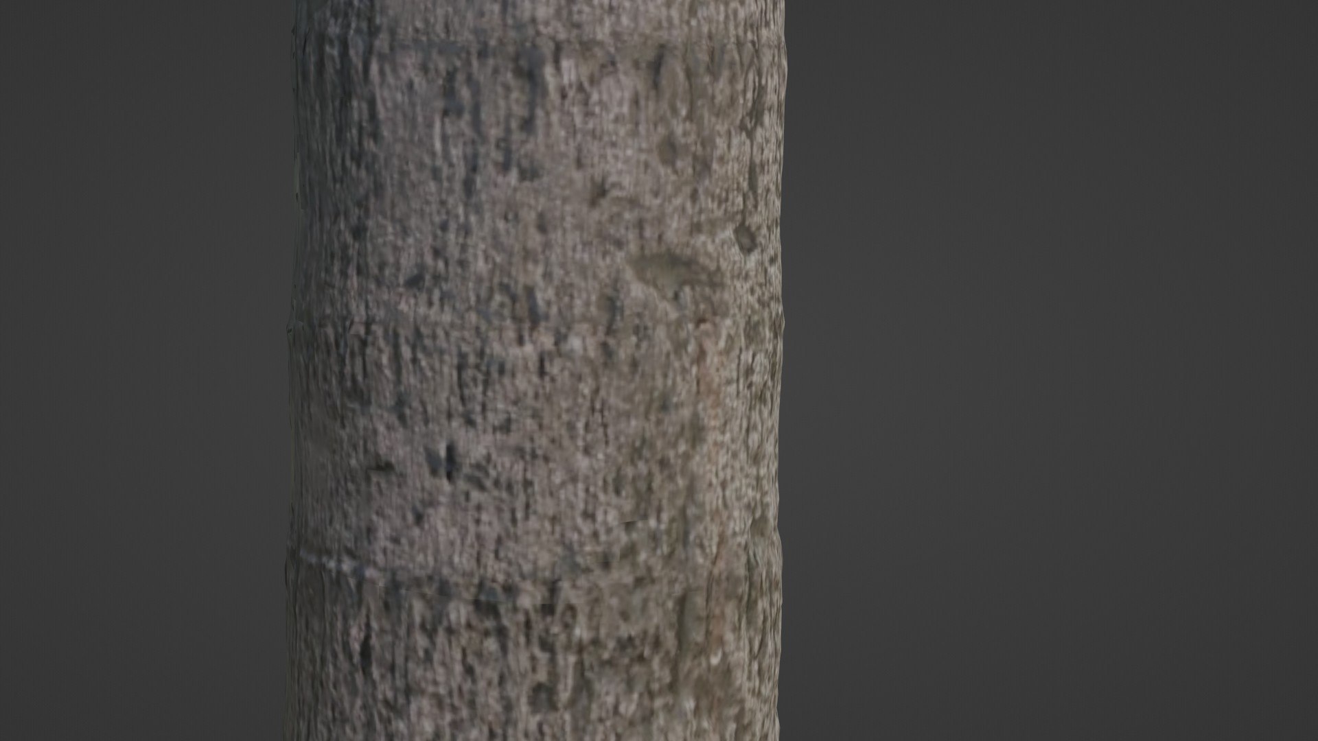 3D Tree Scan Model - TurboSquid 2329763