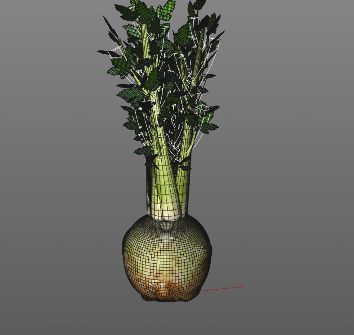 Celery Model - TurboSquid 1544478
