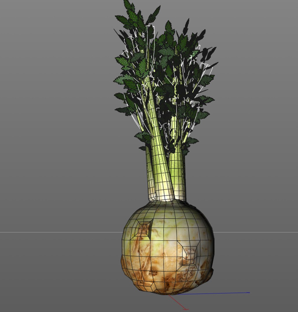 Celery Model - TurboSquid 1544478