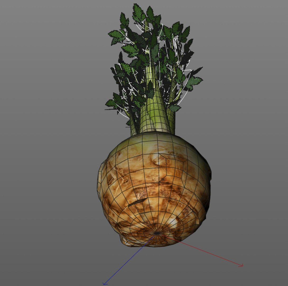 Celery Model - TurboSquid 1544478