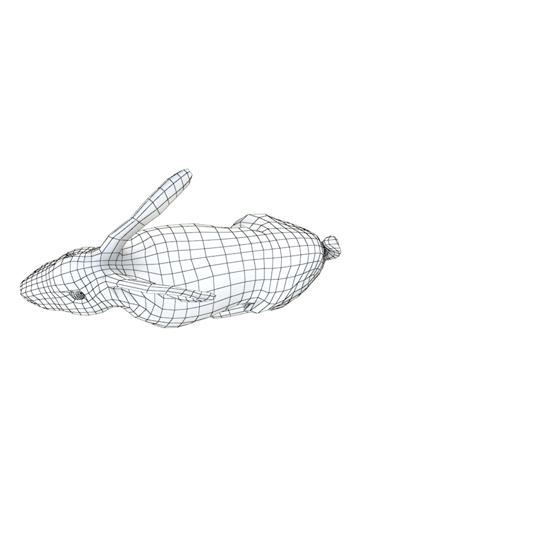 3d hare rigged cat model