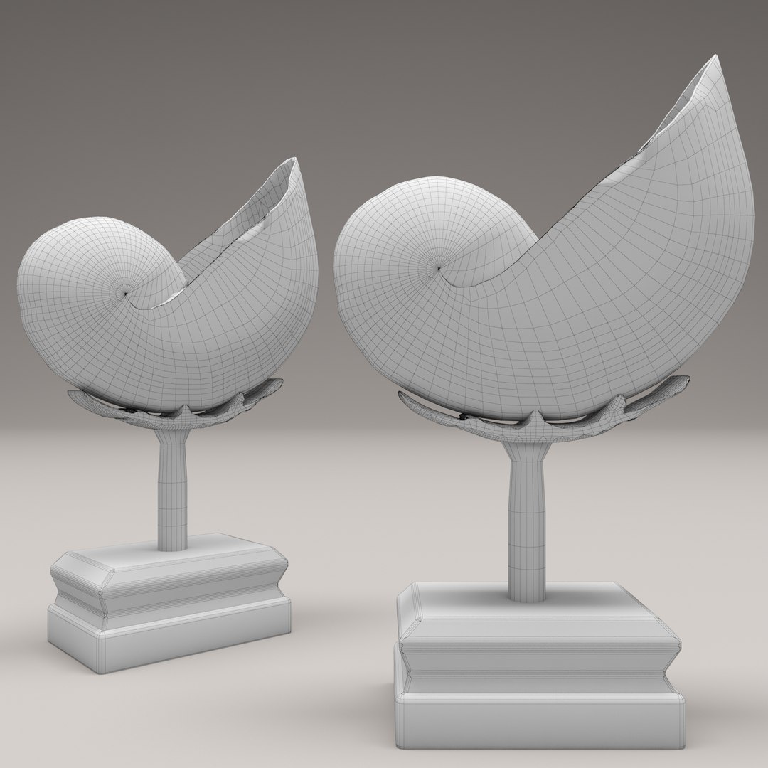 3d model jay strongwater nautilus shell