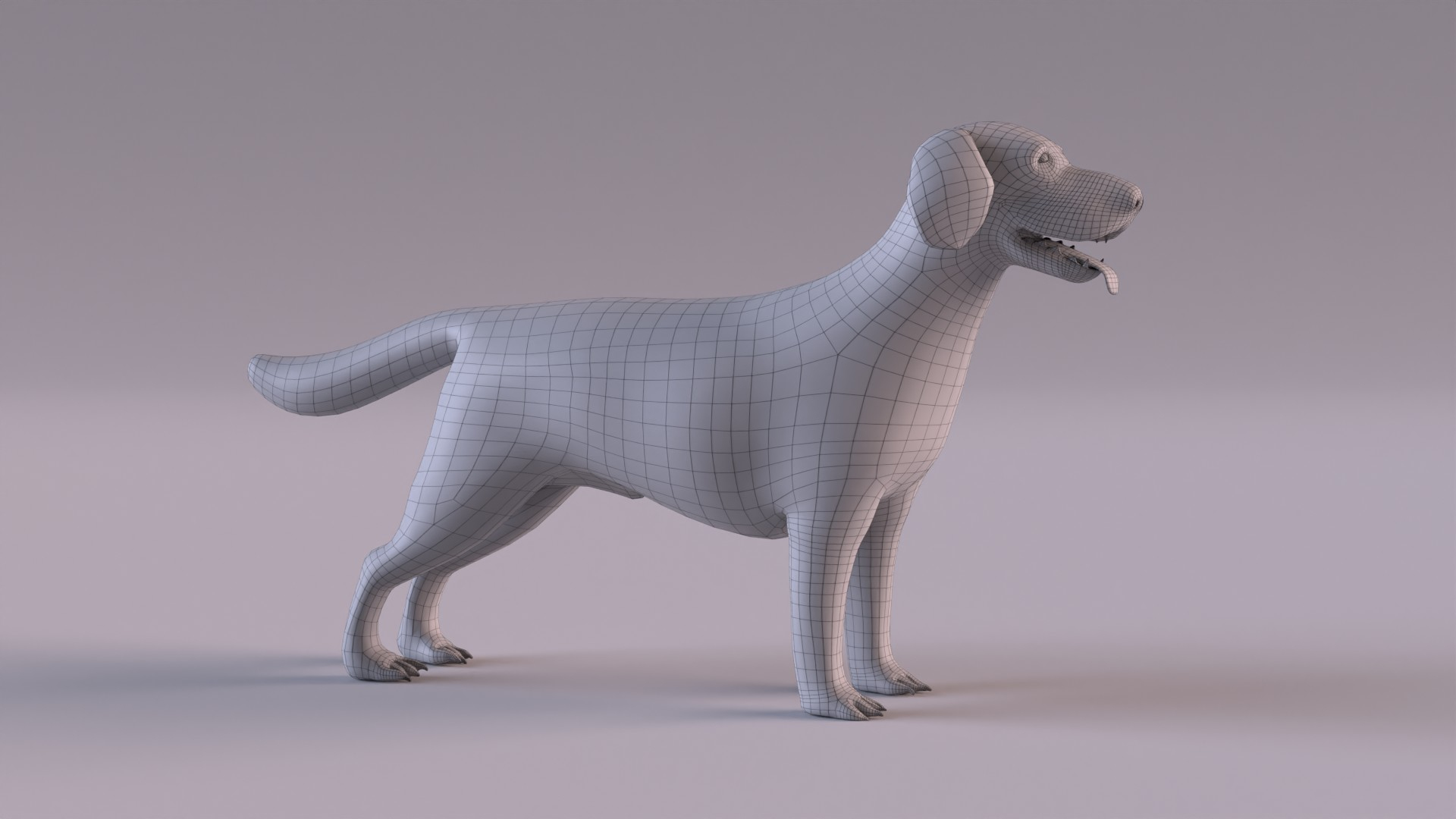 max labrador retriever