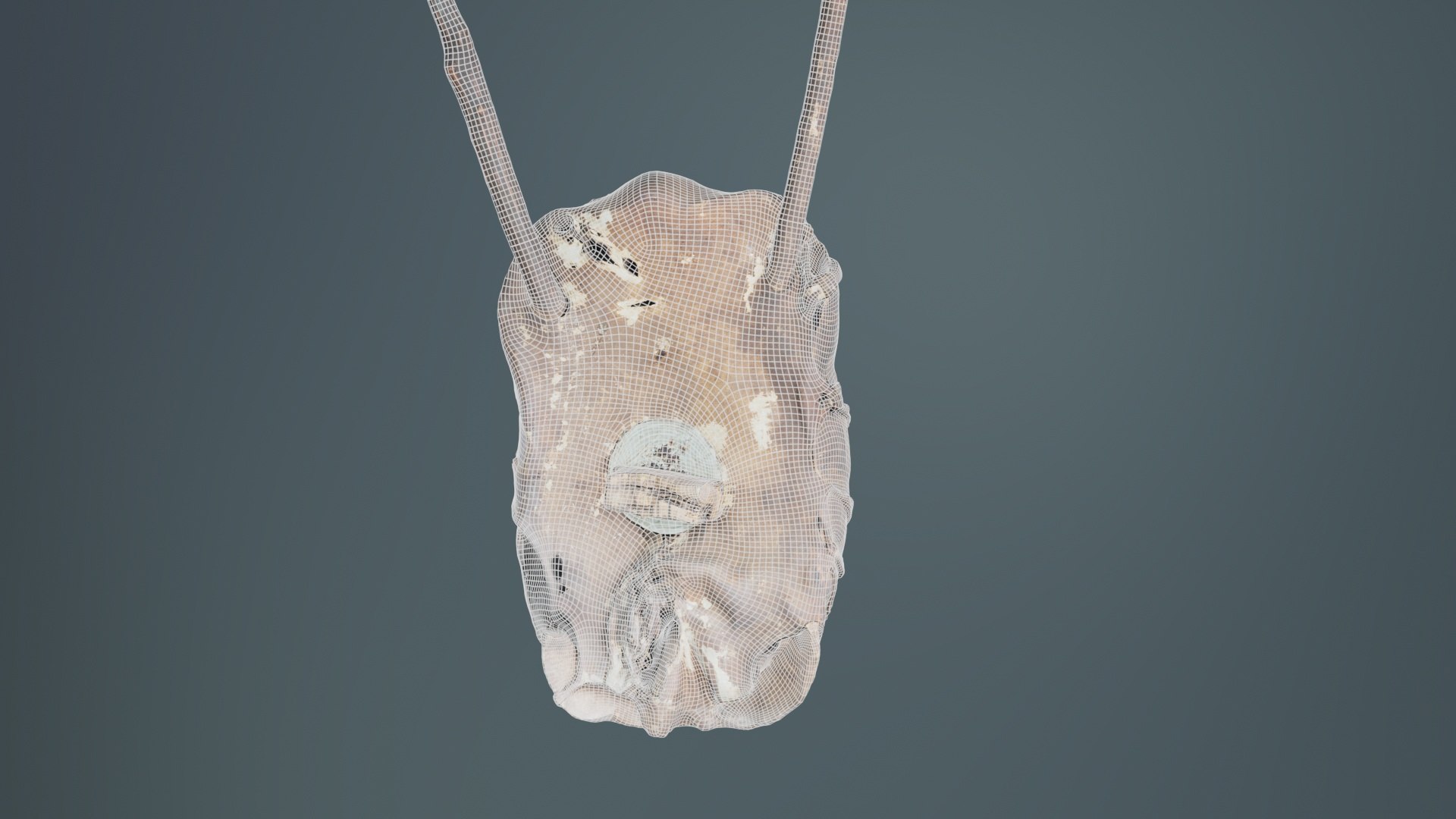 3D Turtle Guitar Remastered - TurboSquid 2363191