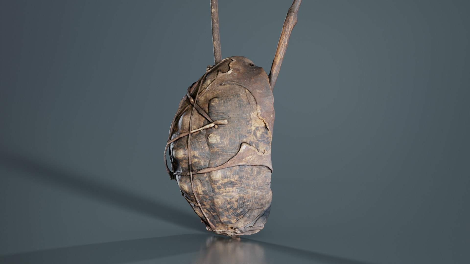 3D Turtle Guitar Remastered - TurboSquid 2363191