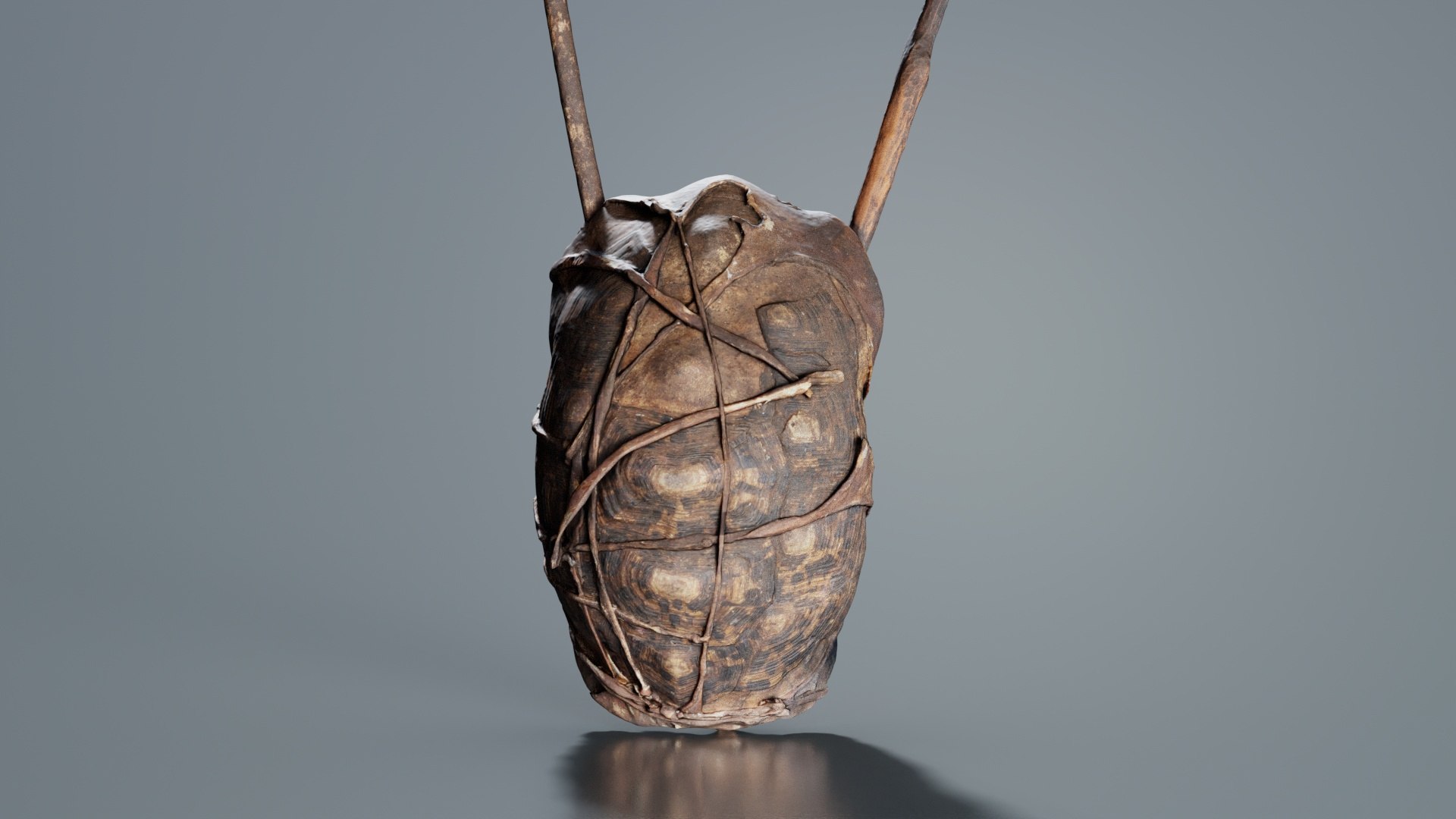 3D Turtle Guitar Remastered - TurboSquid 2363191