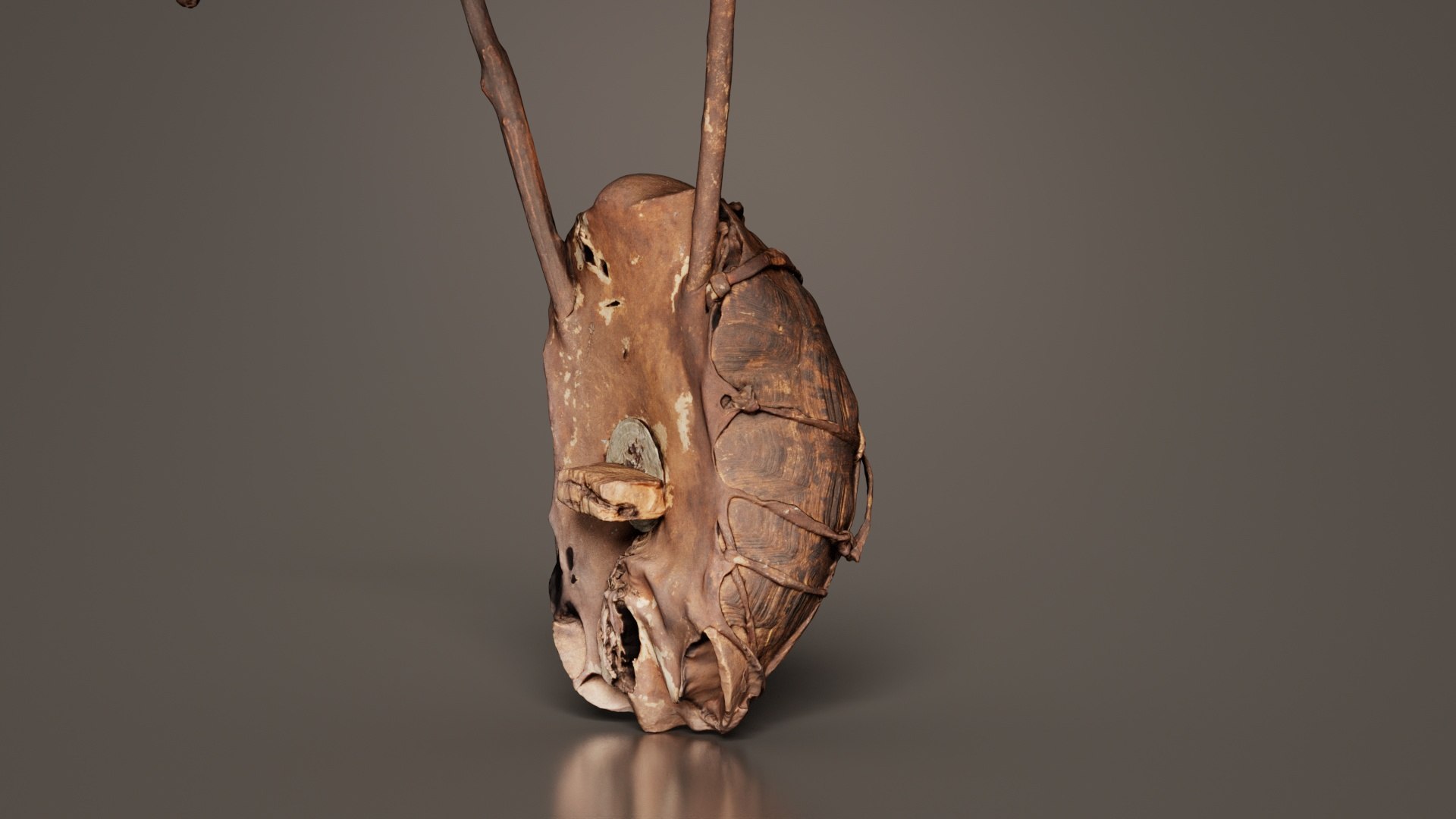 3D Turtle Guitar Remastered - TurboSquid 2363191