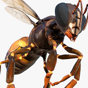 Rigged 3D Blender Models Bug Models For Download | TurboSquid