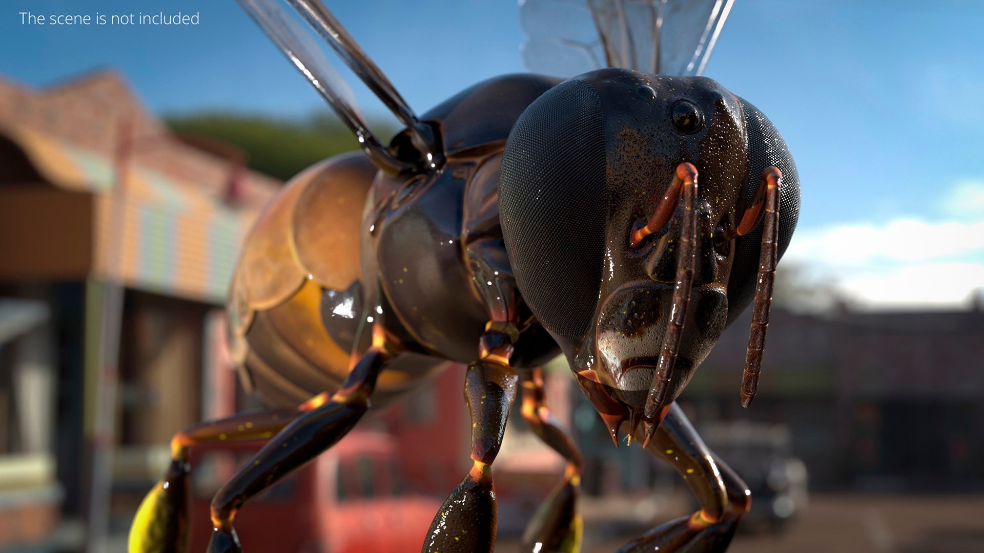 Worker Bee Rigged For Blender Model - TurboSquid 2483753