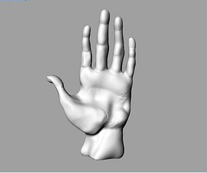 Hand 3D Models for Download | TurboSquid