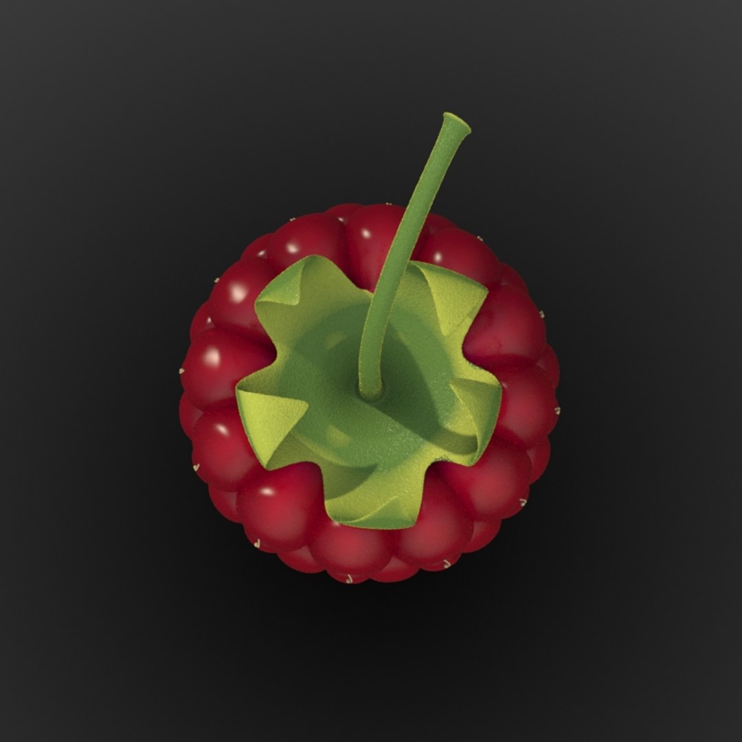 Raspberry Berry 3d Model