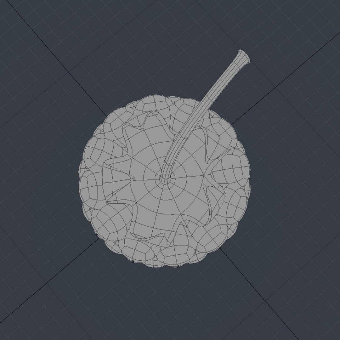 Raspberry Berry 3d Model