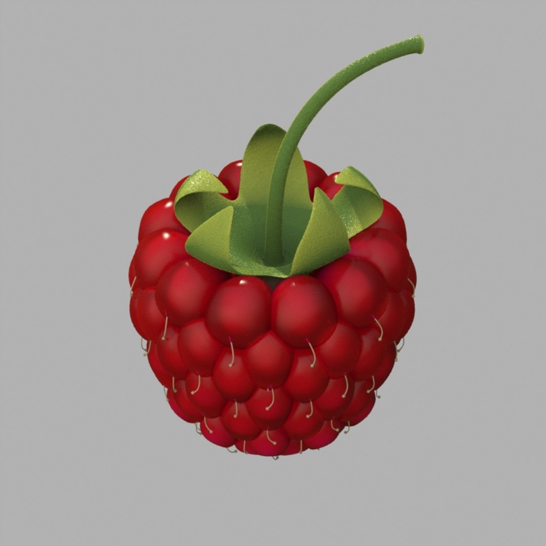 Raspberry Berry 3d Model